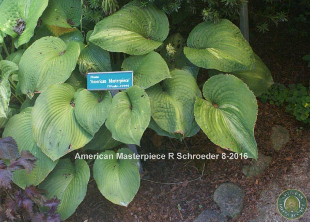 Hosta Registration - American Hosta Society